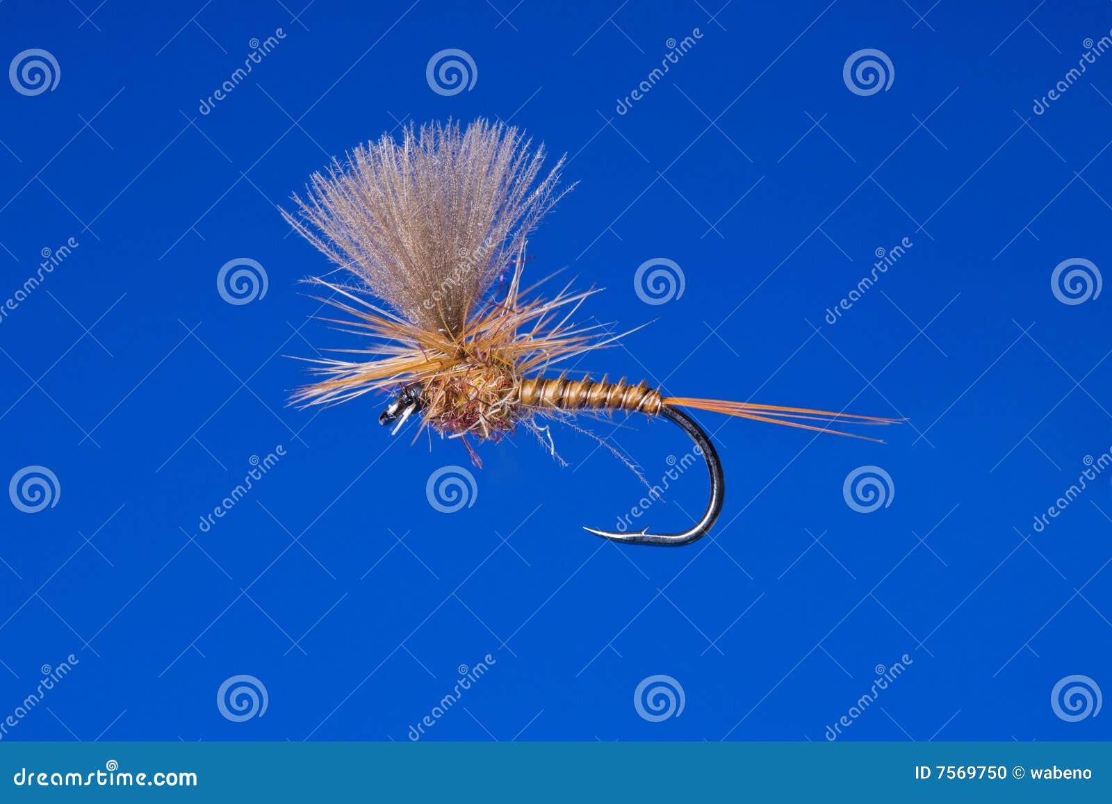 Fly fishing hook stock photo. Image of color, recreation - 7569750