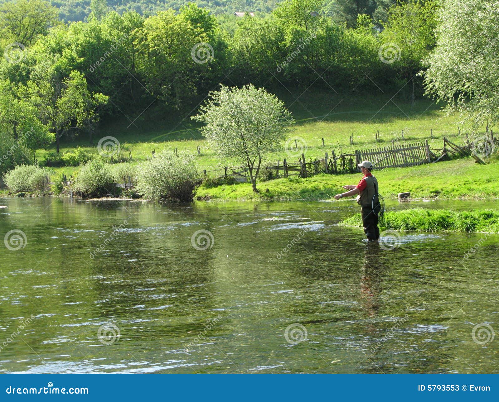 Fly-fishing on Ribnik stock image. Image of fish, outdoors - 5793553