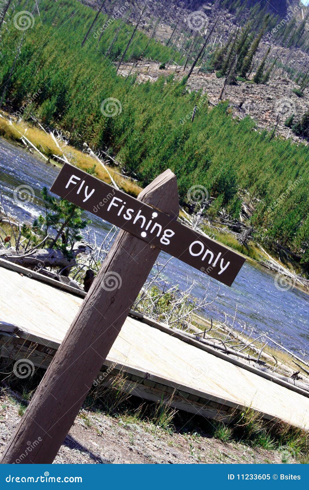 Fly Fishing only Sign stock image. Image of river, vacation - 11233605
