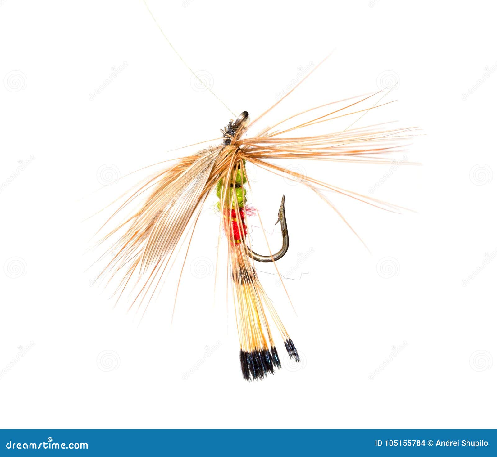 Fly for Fishing on a White Background Stock Photo - Image of hackle ...