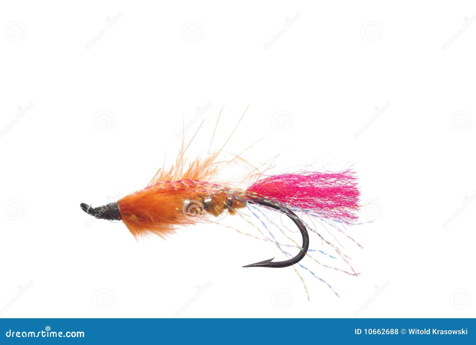Fly-fishing on White Background Stock Photo - Image of nature, hook ...