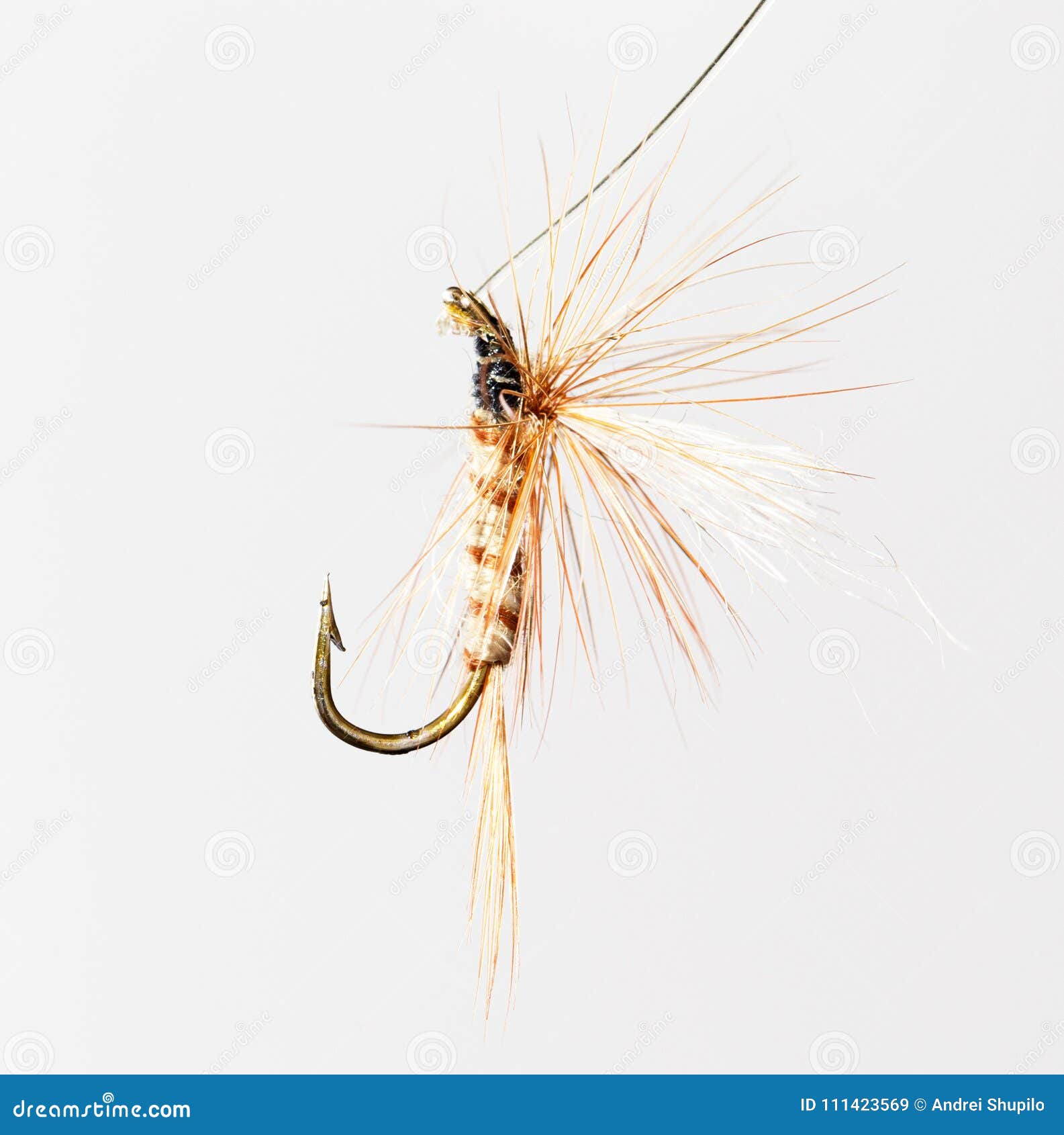 Fly for Fishing on a White Background Stock Image - Image of bait, line ...