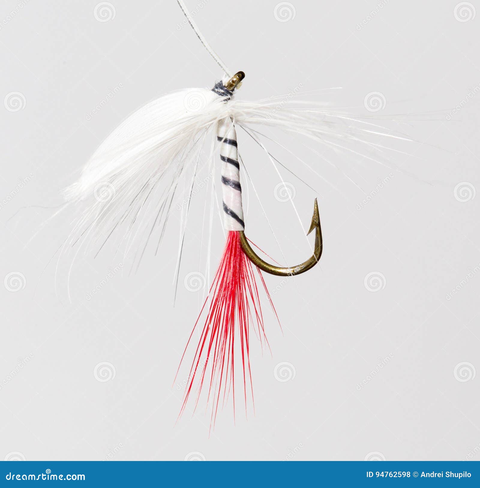 Fly for Fishing on a White Background Stock Photo - Image of detail ...