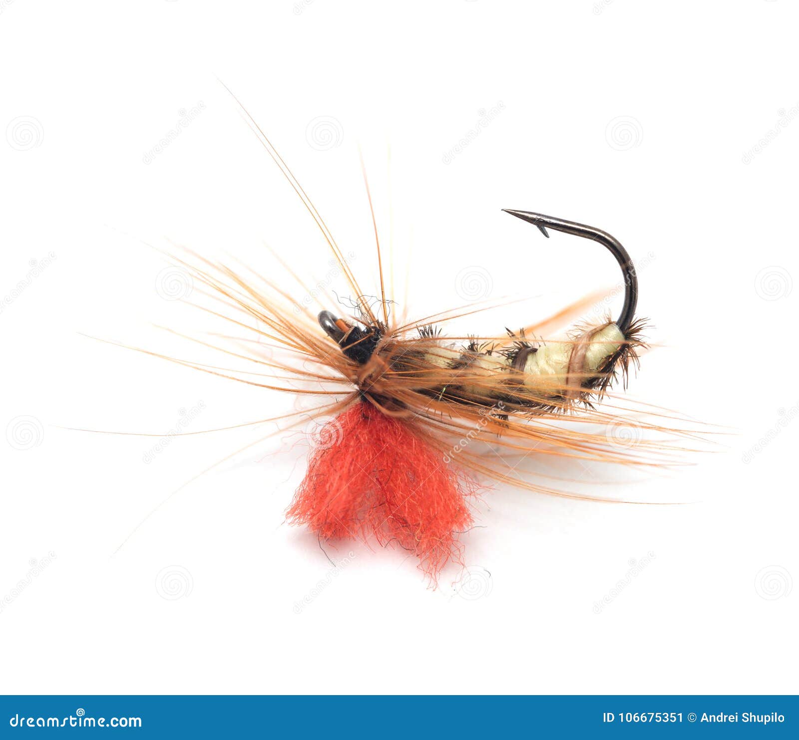 Fly for Fishing on White Background Stock Image - Image of colorful ...