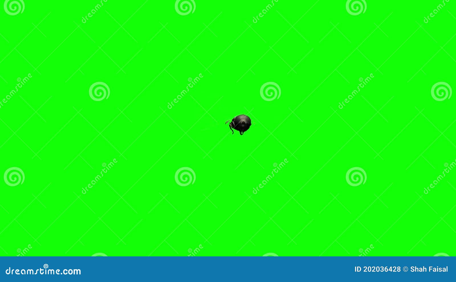 Fly Flying on Green Screen stock footage. Video of bottle - 202036428