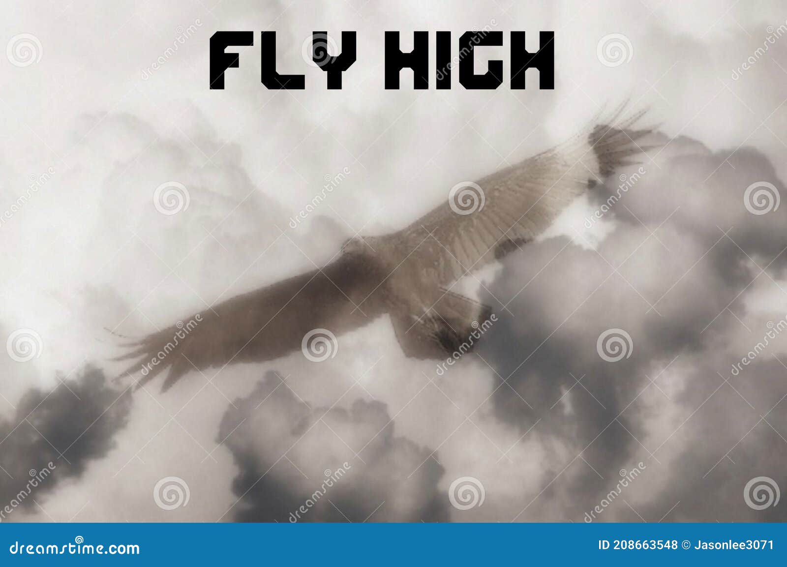 Fly high stock photo. Image of liberty, motto, flying - 208663548