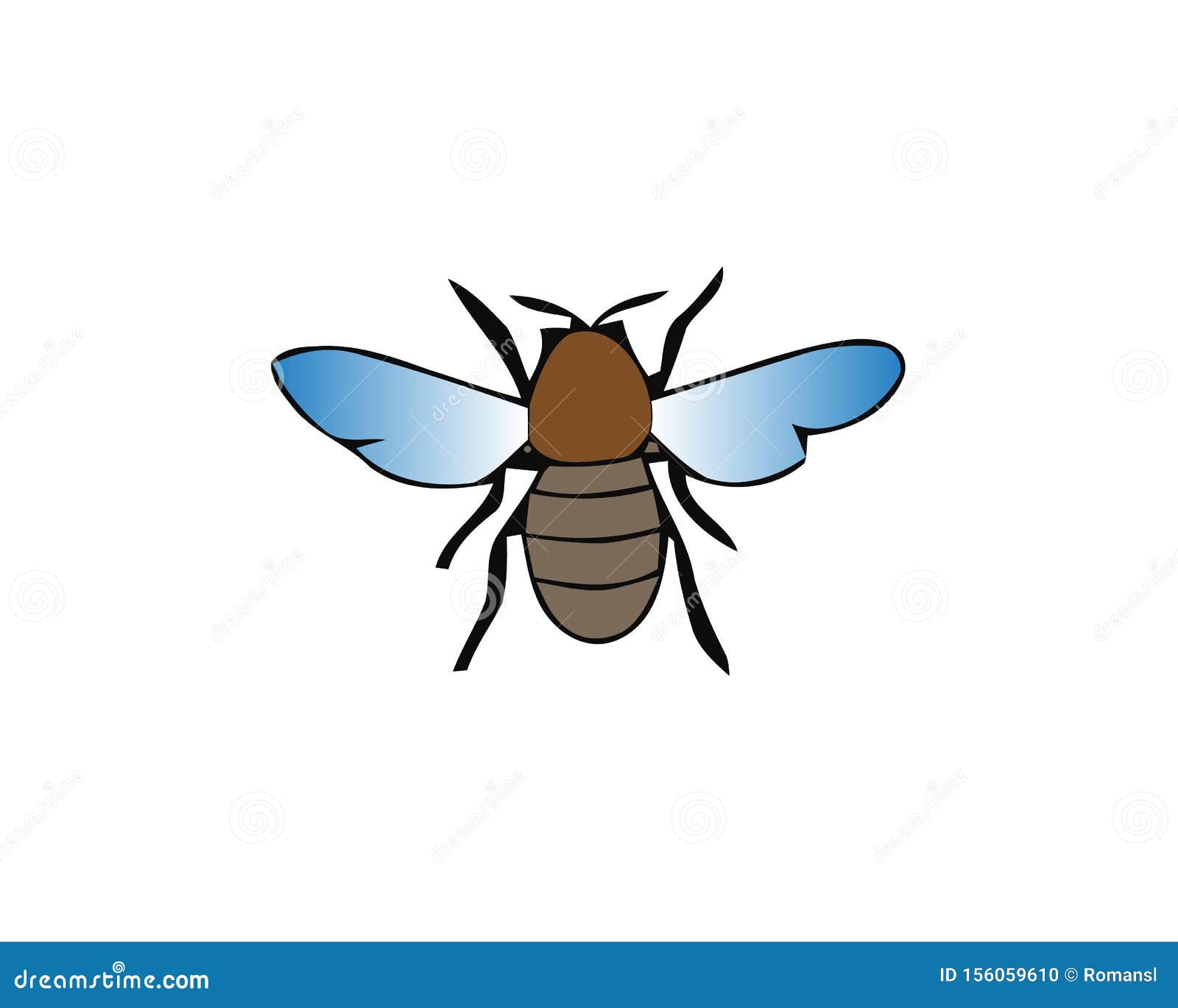 Fly, Housefly Vector Illustration Isolated On White Background. Shiny ...