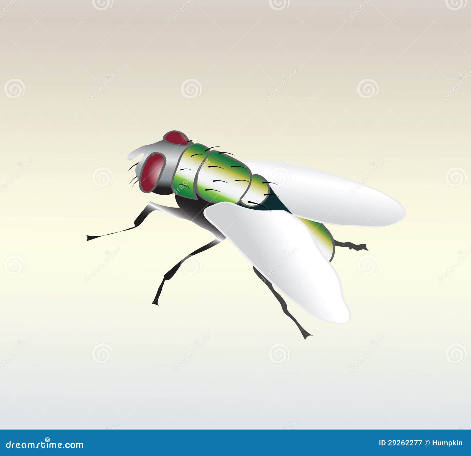 Fly illustration stock illustration. Illustration of poster - 29262277