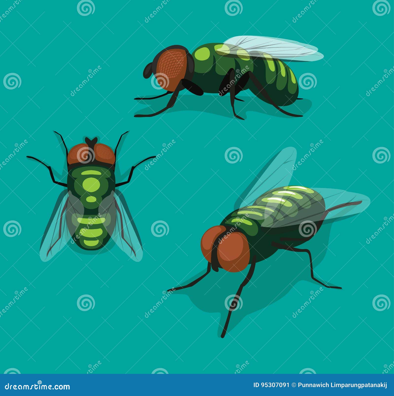 Fly Insect Cartoon Vector Illustration Stock Vector - Illustration of ...