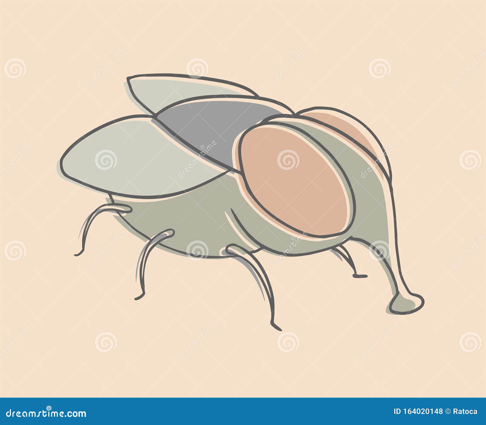 Fly insect draw stock vector. Illustration of wildlife - 164020148