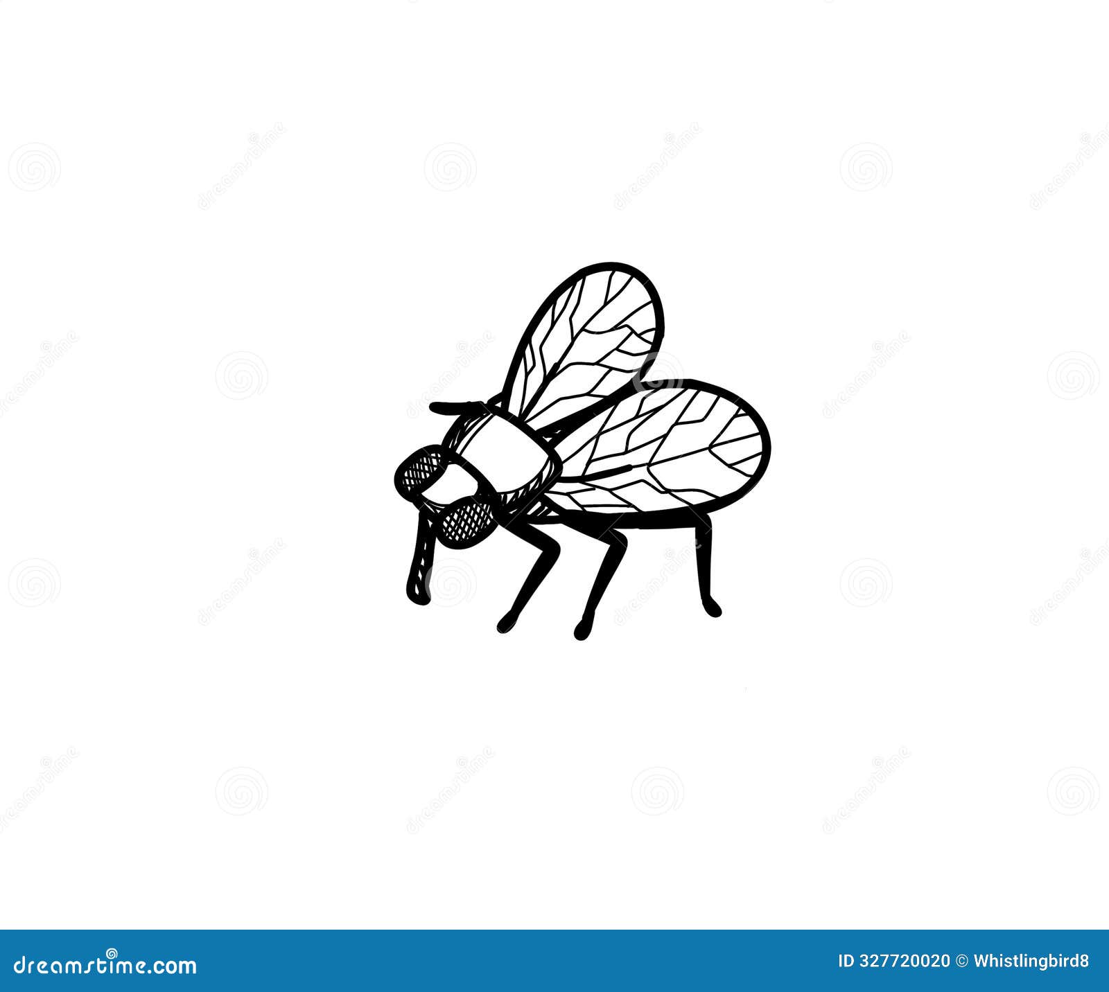 Fly Insect Illustration, Flies Bug Isolated Background Stock ...