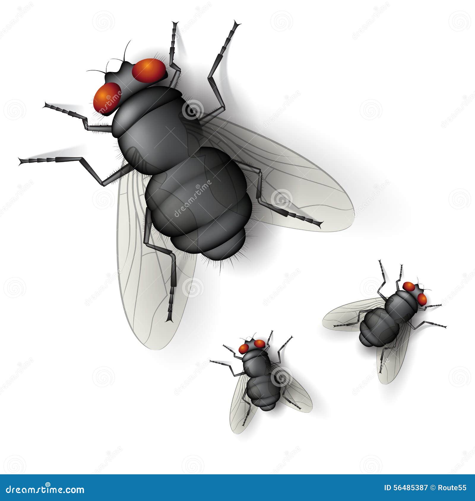 Fly Vector Clipart Collections
