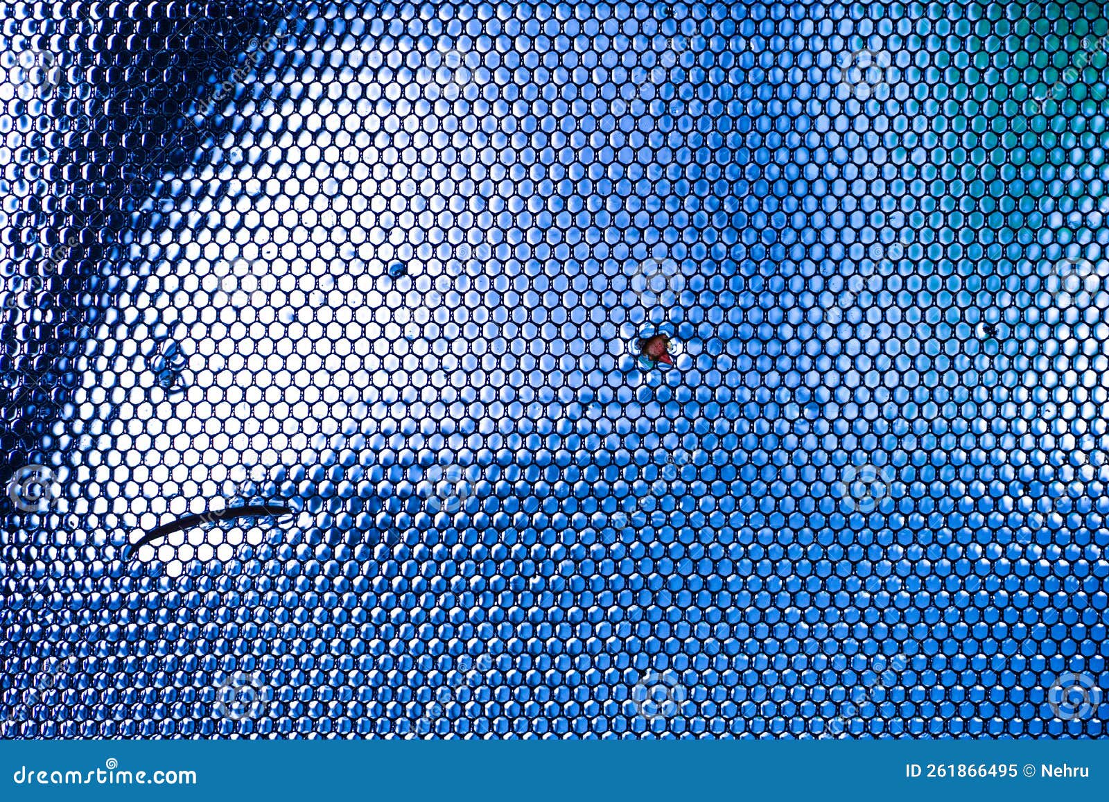 Fly , Insect Mesh Nylon Screen with Waterdops,background, Blue Effect ...