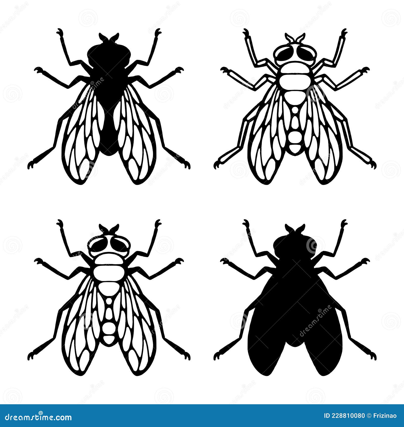 Fly Insect. Outline Silhouette. Design Element. Vector Illustration ...