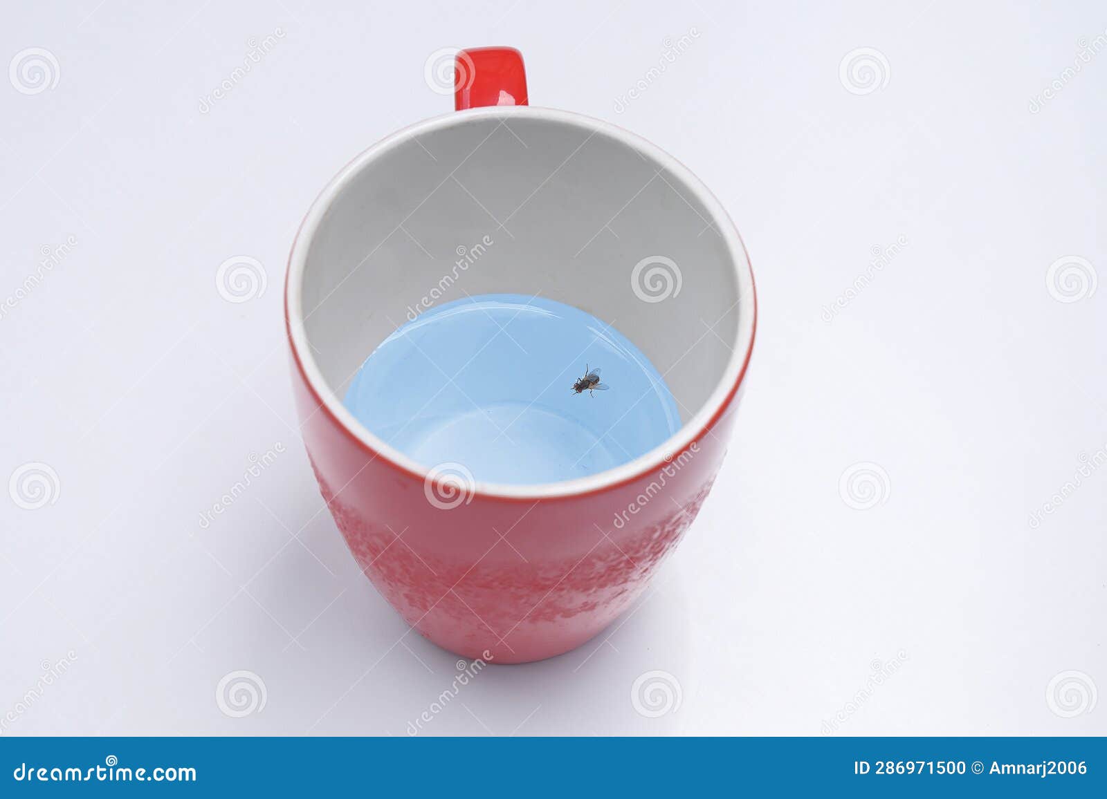 A Fly Landed in a Drinking Glass Stock Photo - Image of juice, white ...