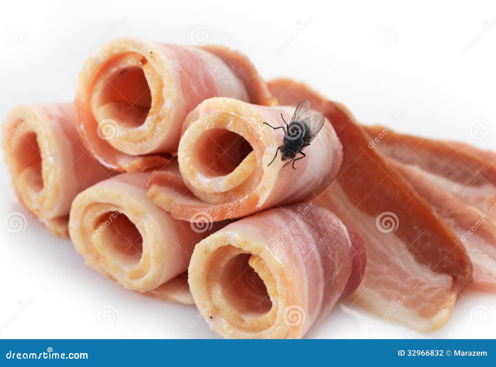 Fly on meat stock photo. Image of hygiene, small, insect - 32966832