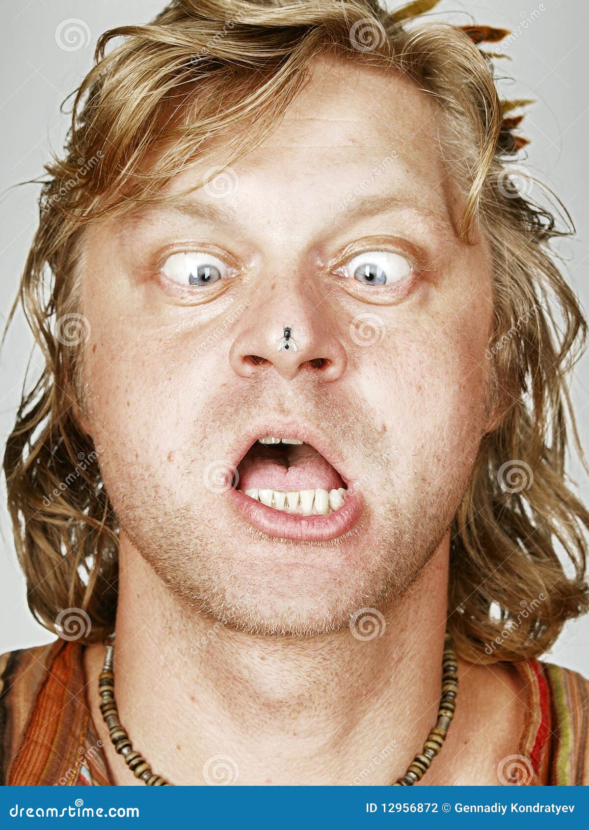 Fly on the nose stock photo. Image of long, passion, close - 12956872