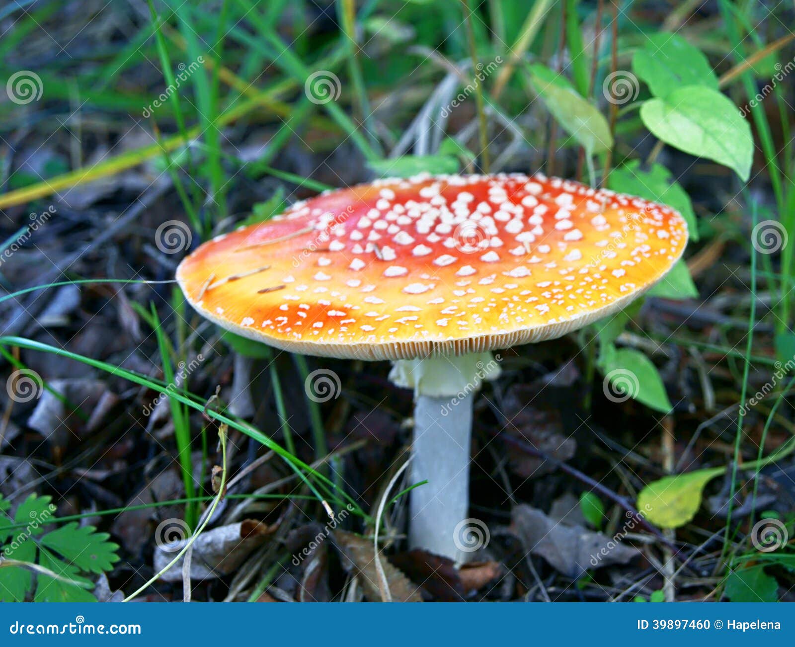 Royalty Free Images, Cartoons, Illustrations And Photos Designed By ...