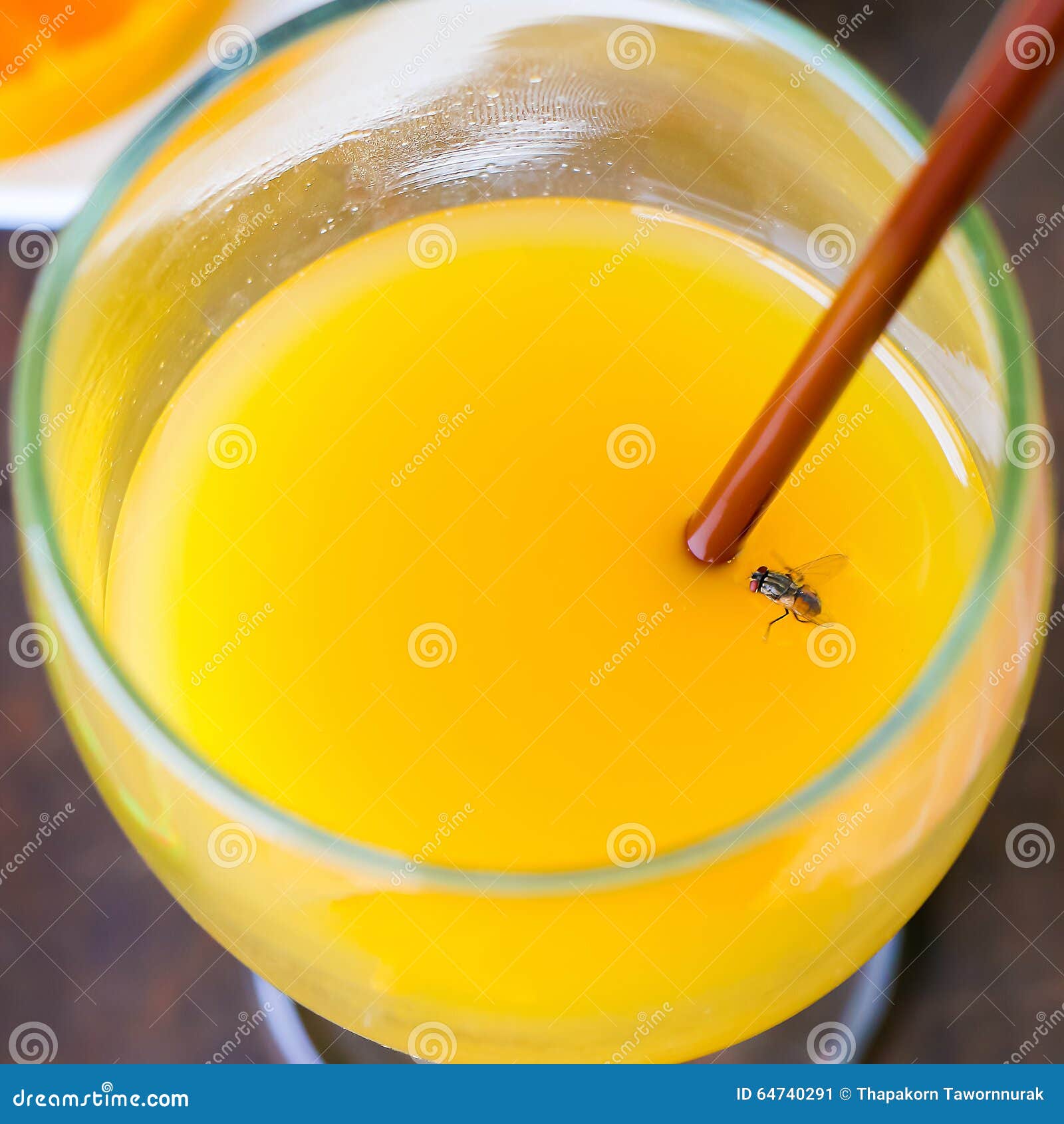 Fly in orange juice glass stock image. Image of animal - 64740291