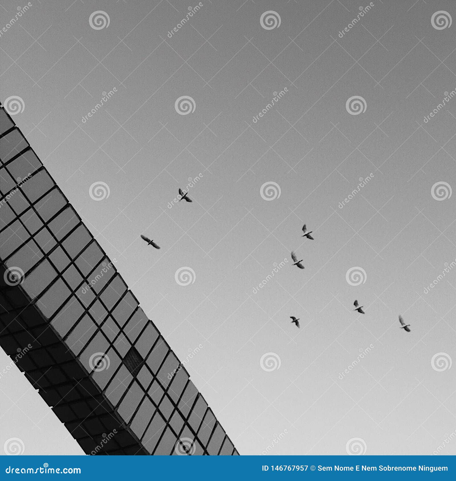 Fly over the walls stock image. Image of white, black - 146767957