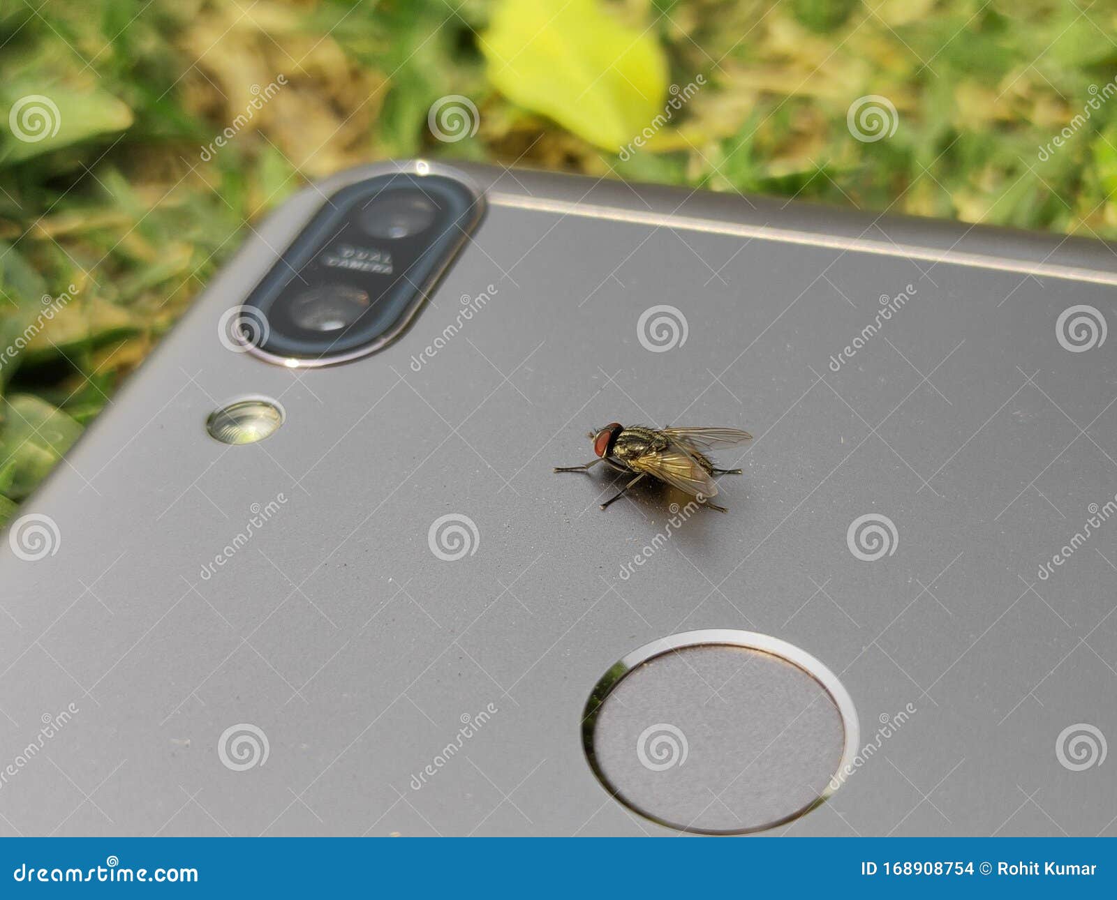 Mobile phone stock photo. Image of flys, wallpaper, photoshoot - 168908754