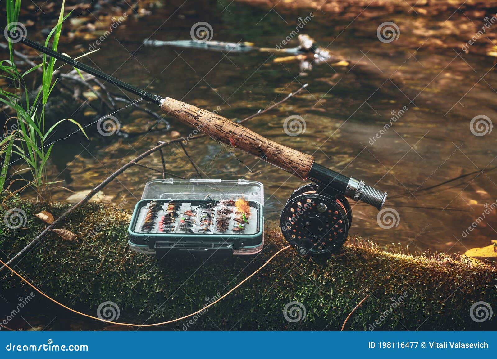 Fly Rod and Fly Box on the Bank of the Stream Stock Image - Image of ...