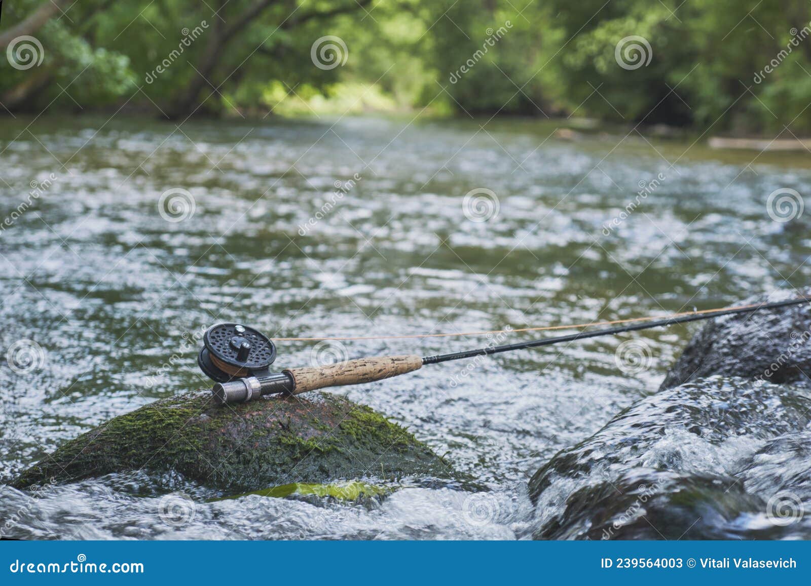 The Fly Rod Lies on the Rocks Against the Backdrop of a Mountain Stream ...
