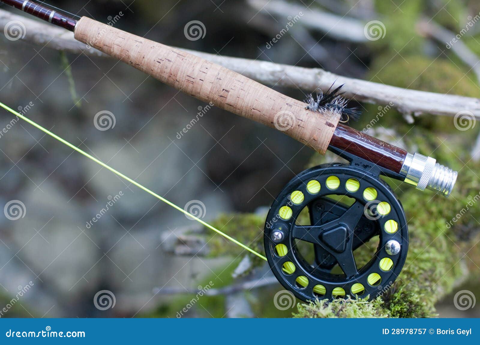 Fly rod and reel stock image. Image of outdoors, equipment - 28978757