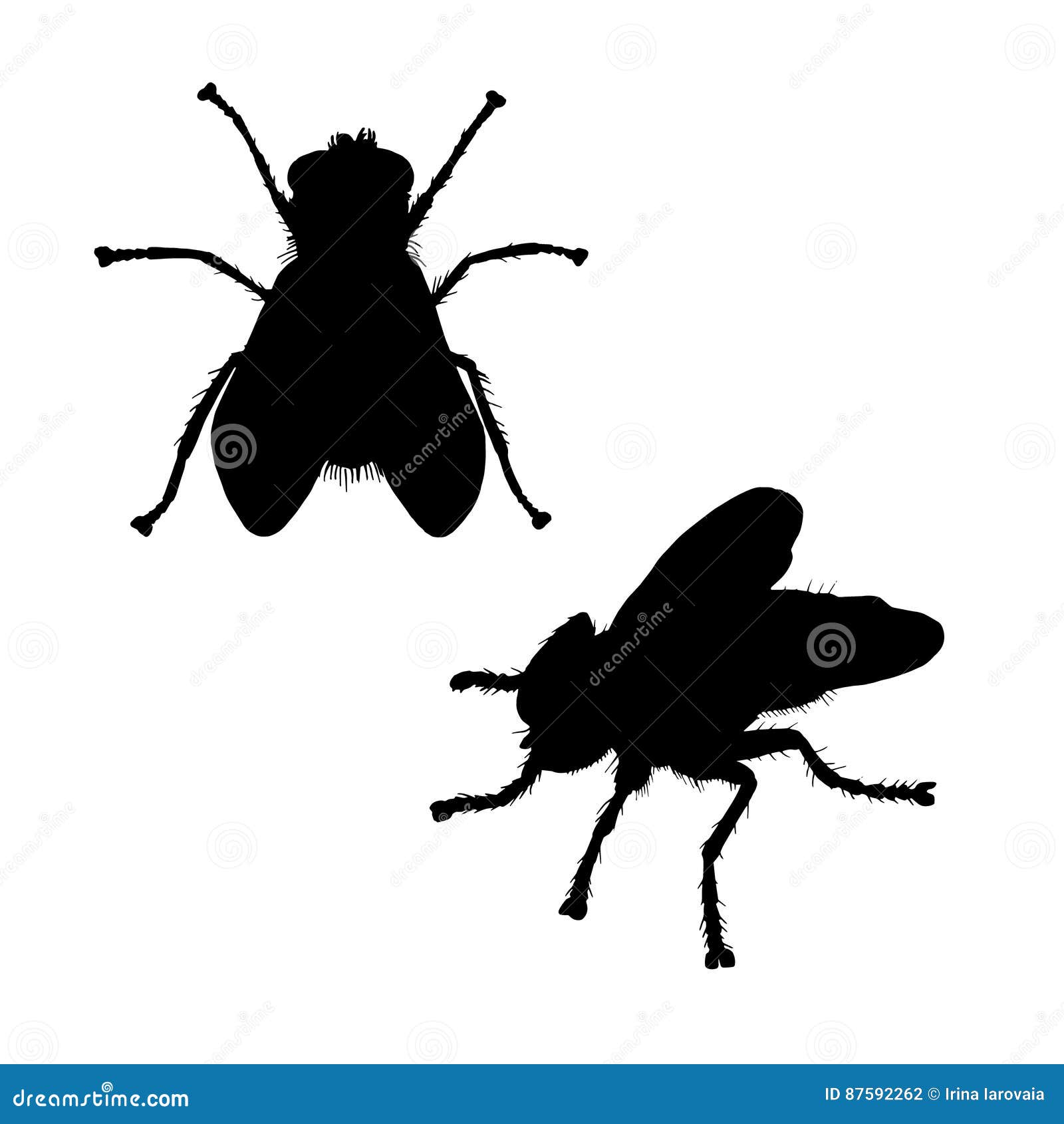 Fly Silhouette. Black White Icon. Vector Illustration. Stock Vector ...
