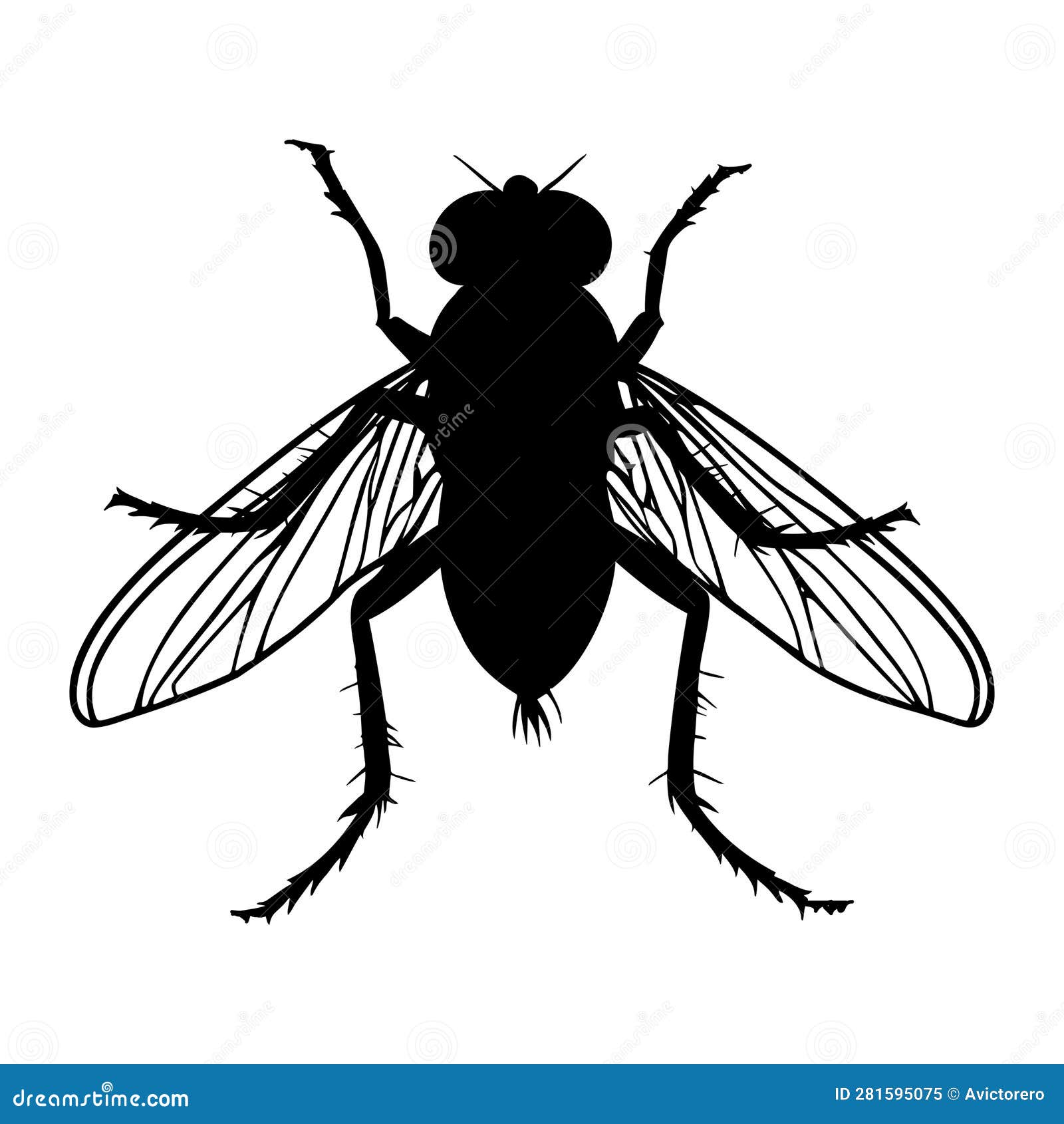 Fly Silhouette Isolated on White Background Stock Vector - Illustration ...