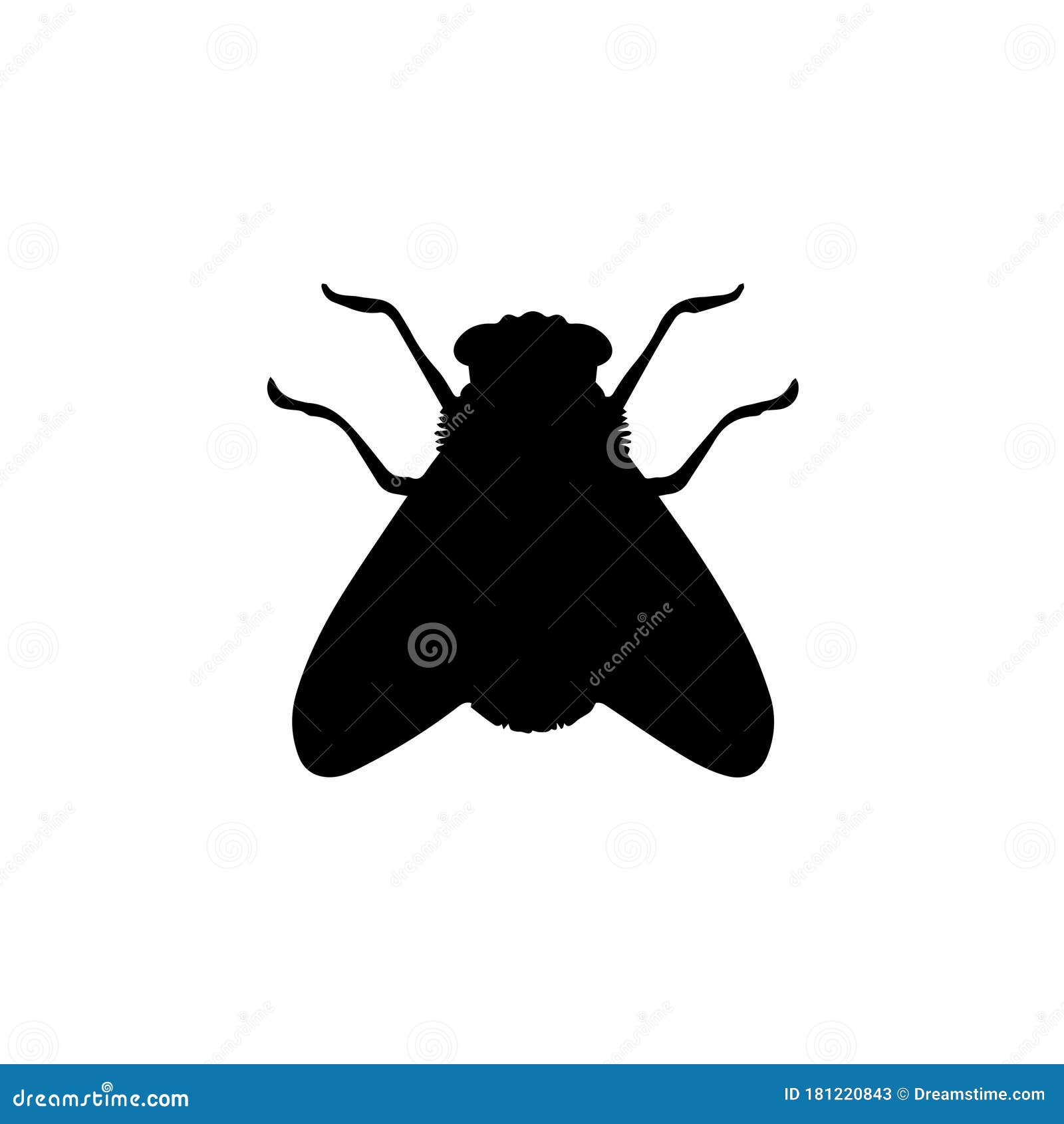 Fly Silhouette on White Background Stock Illustration - Illustration of ...