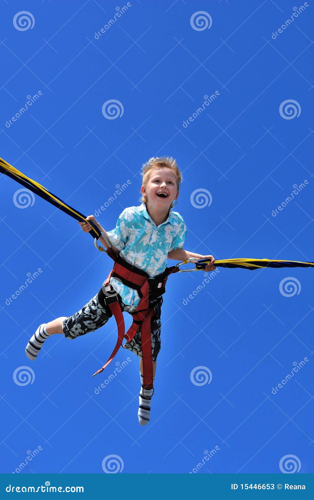 Fly in sky stock image. Image of cute, energetic, game - 15446653