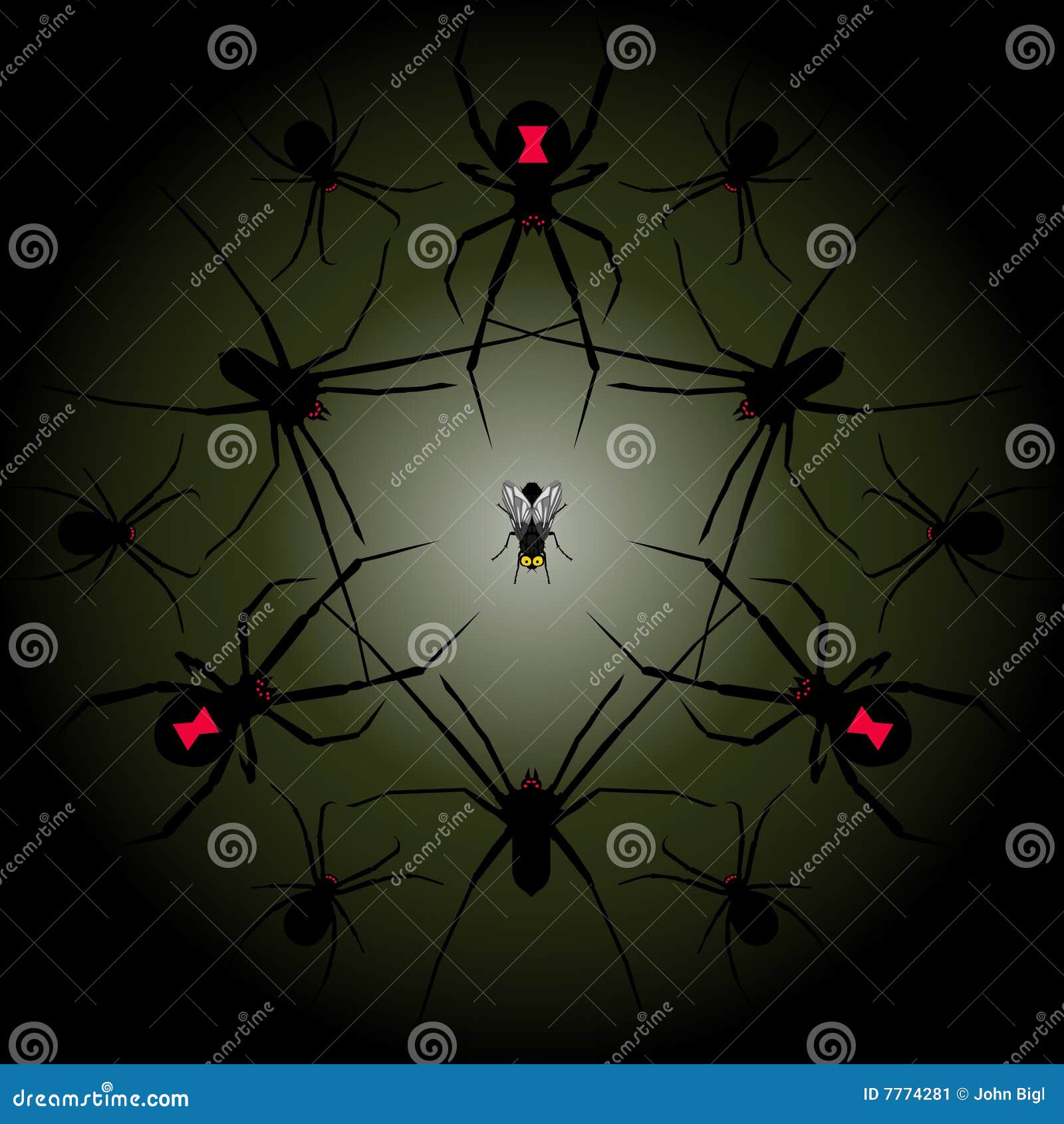 Fly and spiders stock vector. Illustration of insect, spider - 7774281