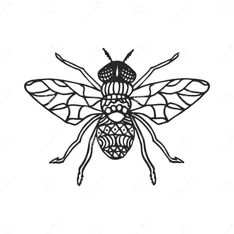 Fly Stencil Pattern Vector Illustration. Stock Vector - Illustration of ...