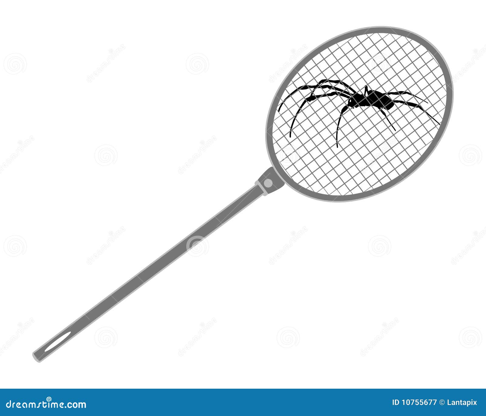 Fly swat above spider stock vector. Illustration of spider - 10755677
