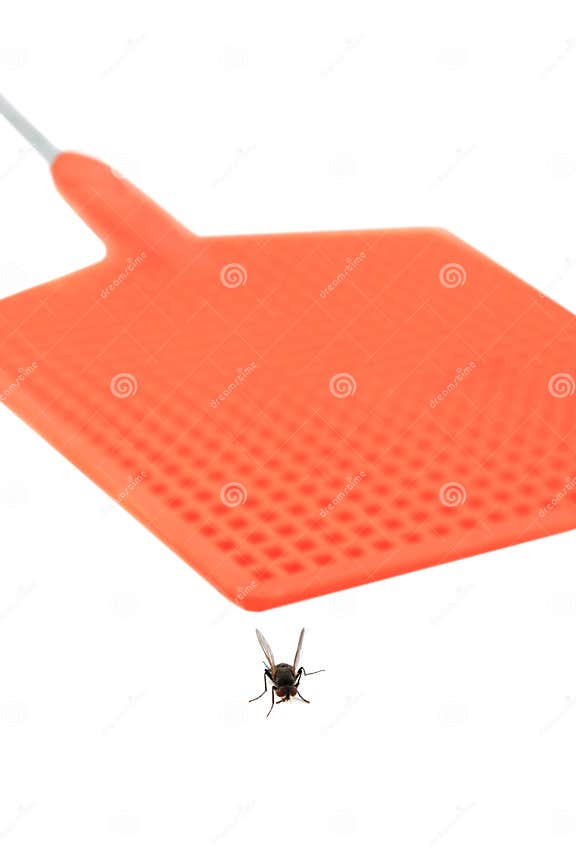 Fly swatter stock image. Image of kill, dead, bugs, background - 15801459