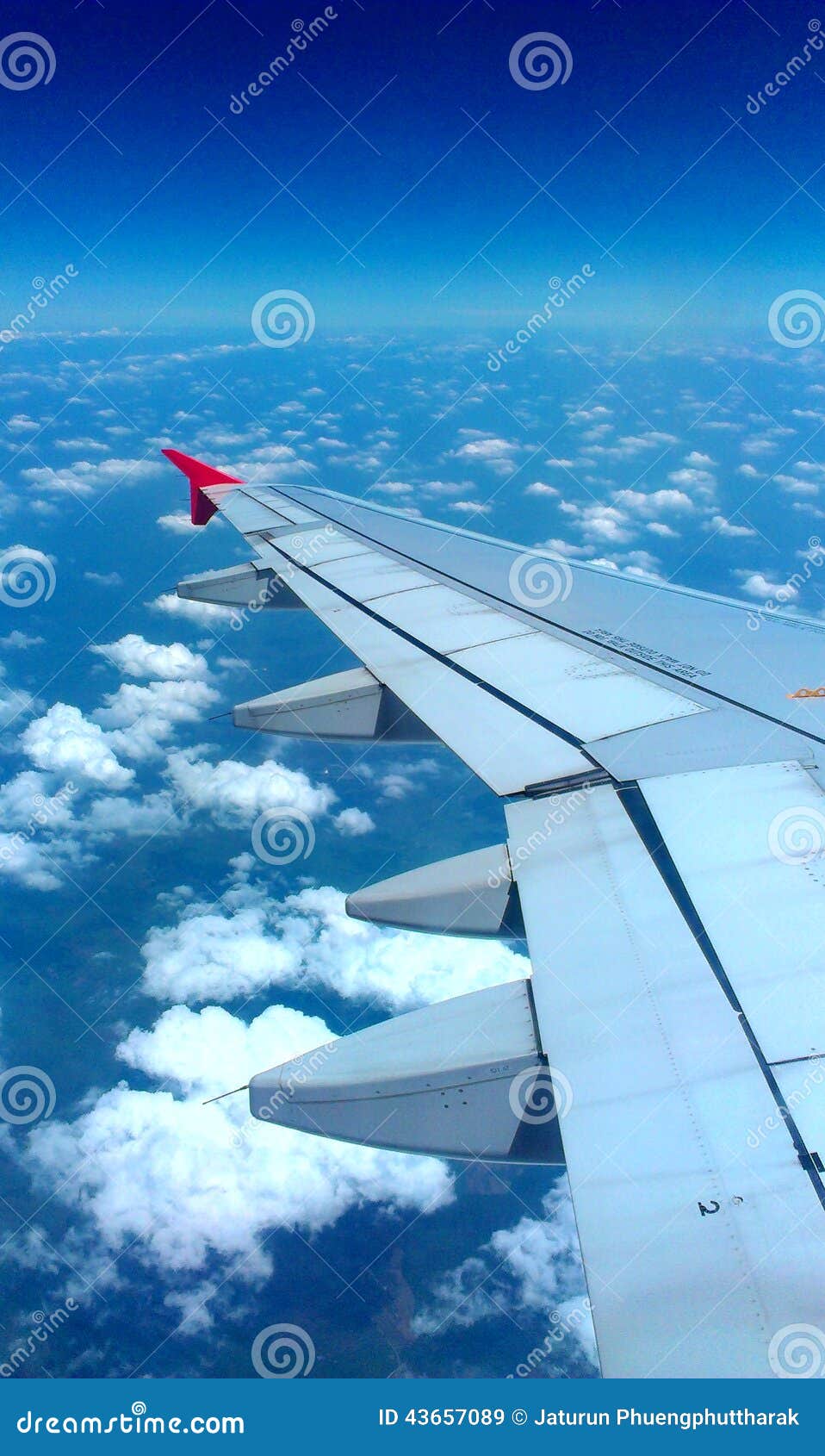 Fly in to the sky editorial stock image. Image of wing - 43657089