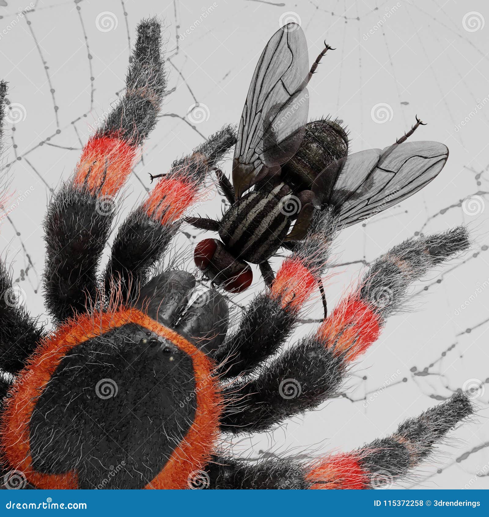 Fly Trapped on Cobweb stock illustration. Illustration of render ...