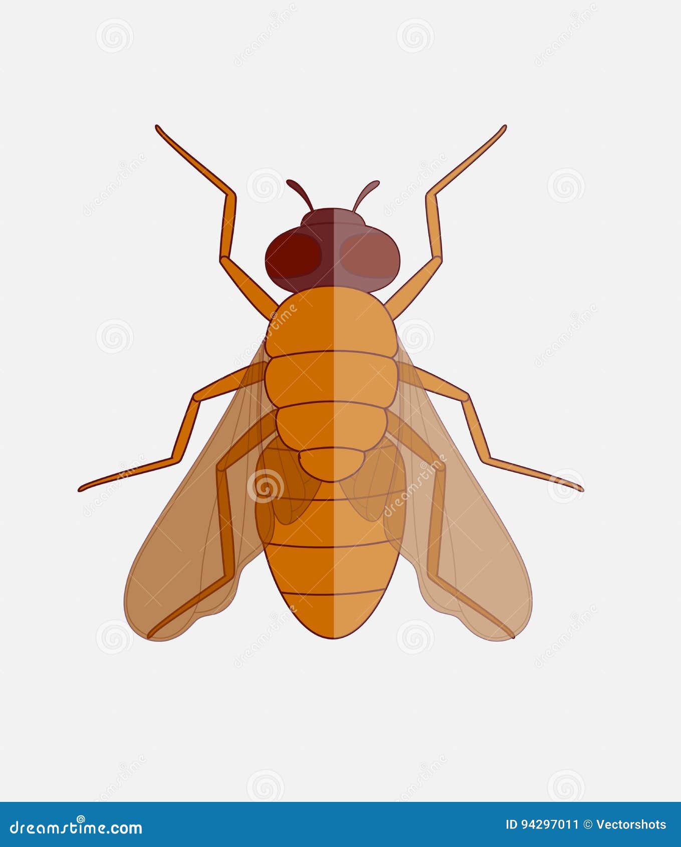 Fly Vector stock vector. Illustration of buzz, honeybee - 94297011