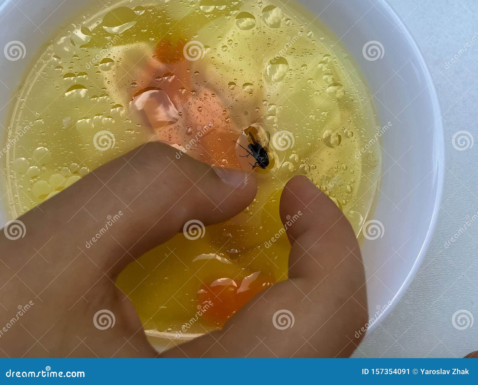 Fly in Vegetable Soup in White Plate Stock Image - Image of hungry ...