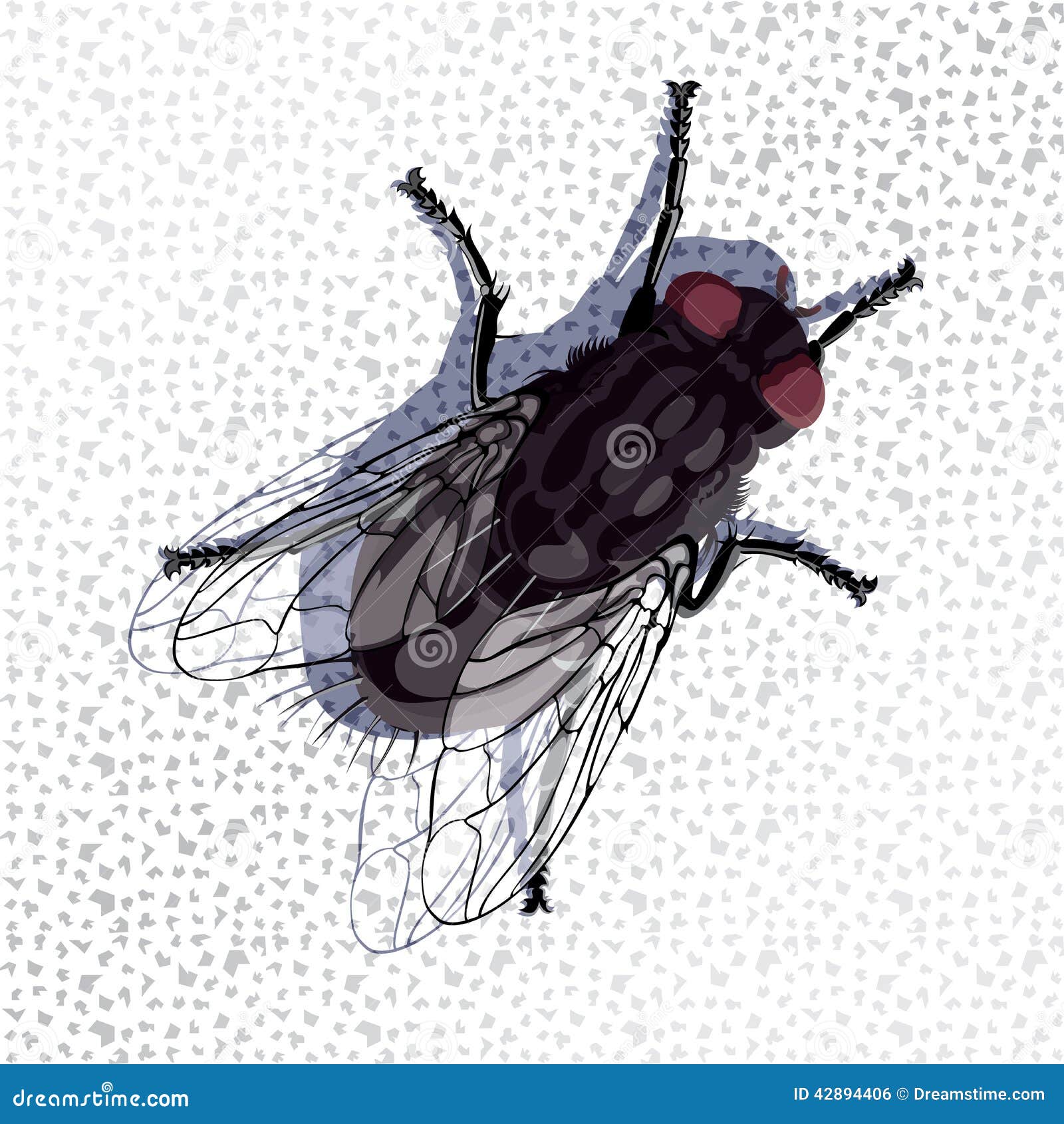 Fly on the wall stock vector. Illustration of dirt, annoyance - 42894406