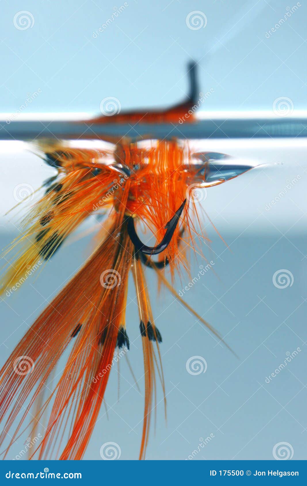 Fly in water stock photo. Image of bait, hand, cast, closeup - 175500