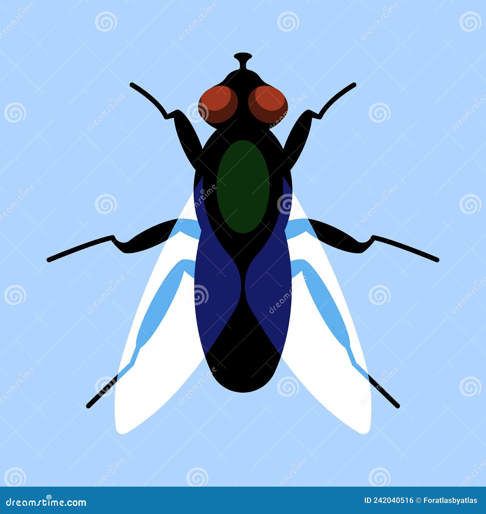 Fly With Wings, Top View. Vector Fly In The Original Flat Style. Blue ...