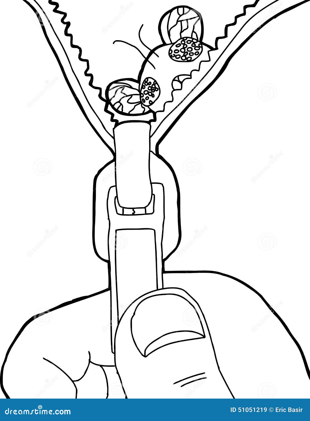 Fly in Zipper stock illustration. Illustration of inside - 51051219