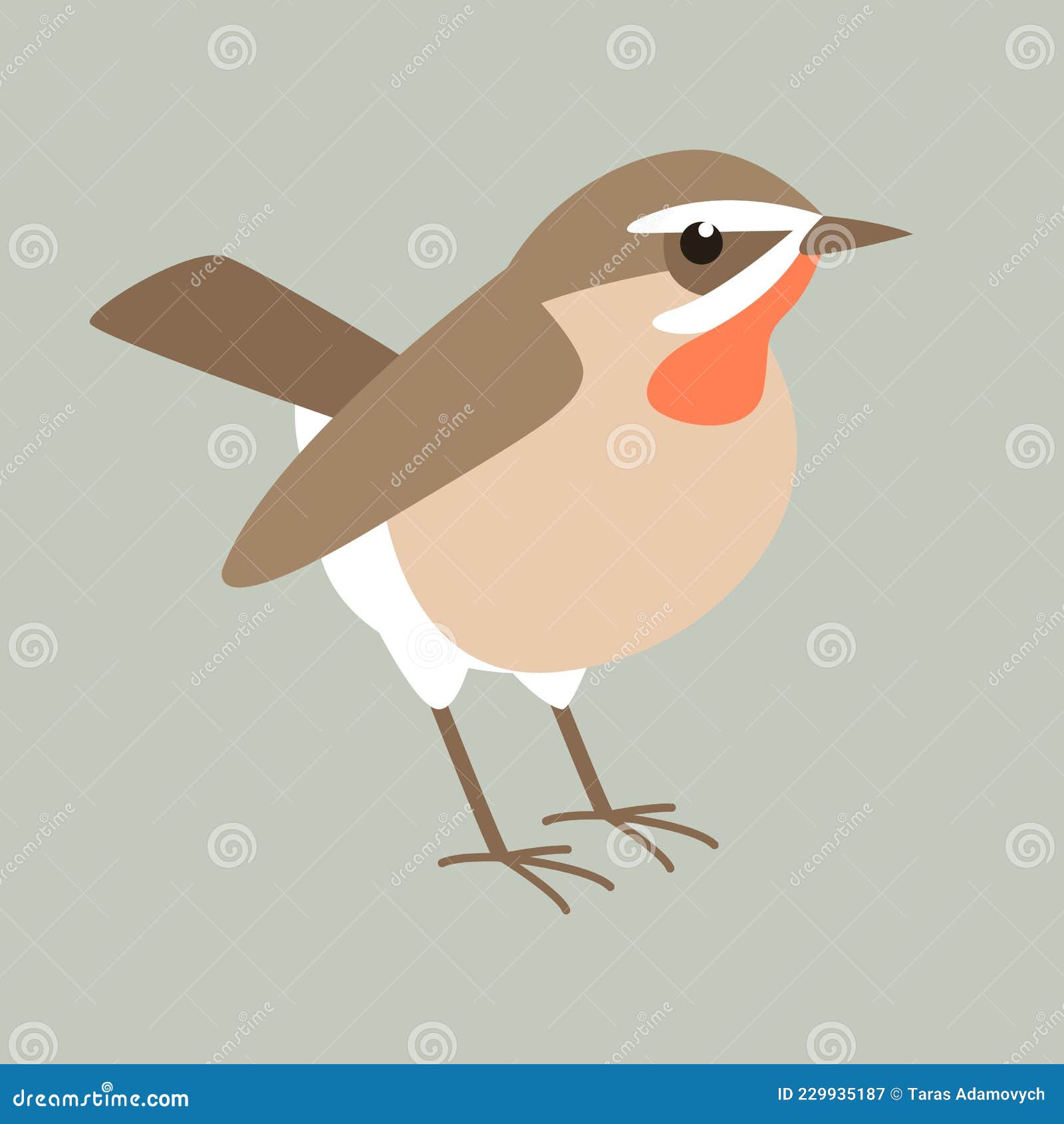 Flycatcher Bird, Flat Style, Vector Illustration, Side Stock Vector ...