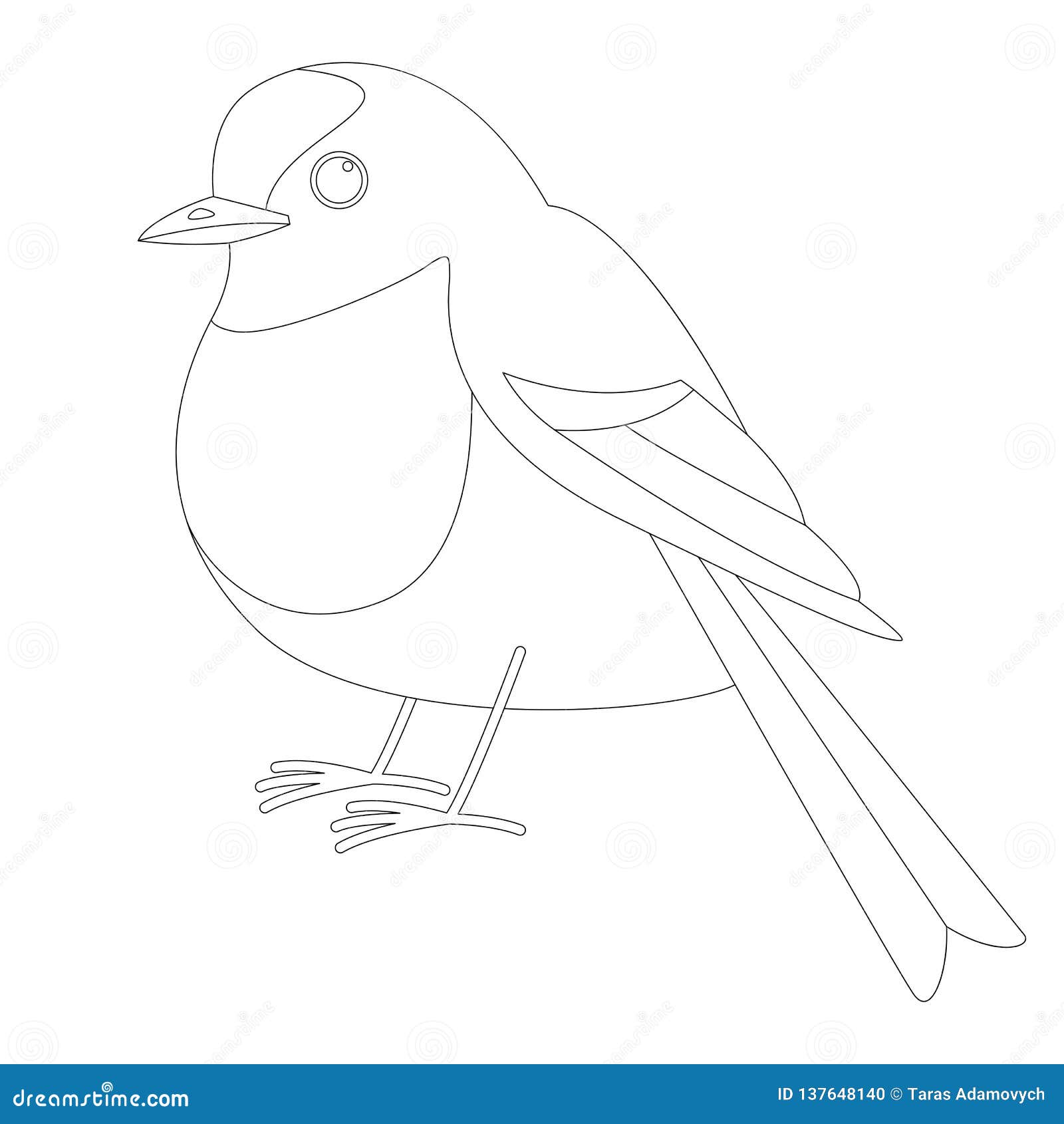 Flycatcher Bird, Vector Illustration, Lining Draw,profile Stock Vector ...