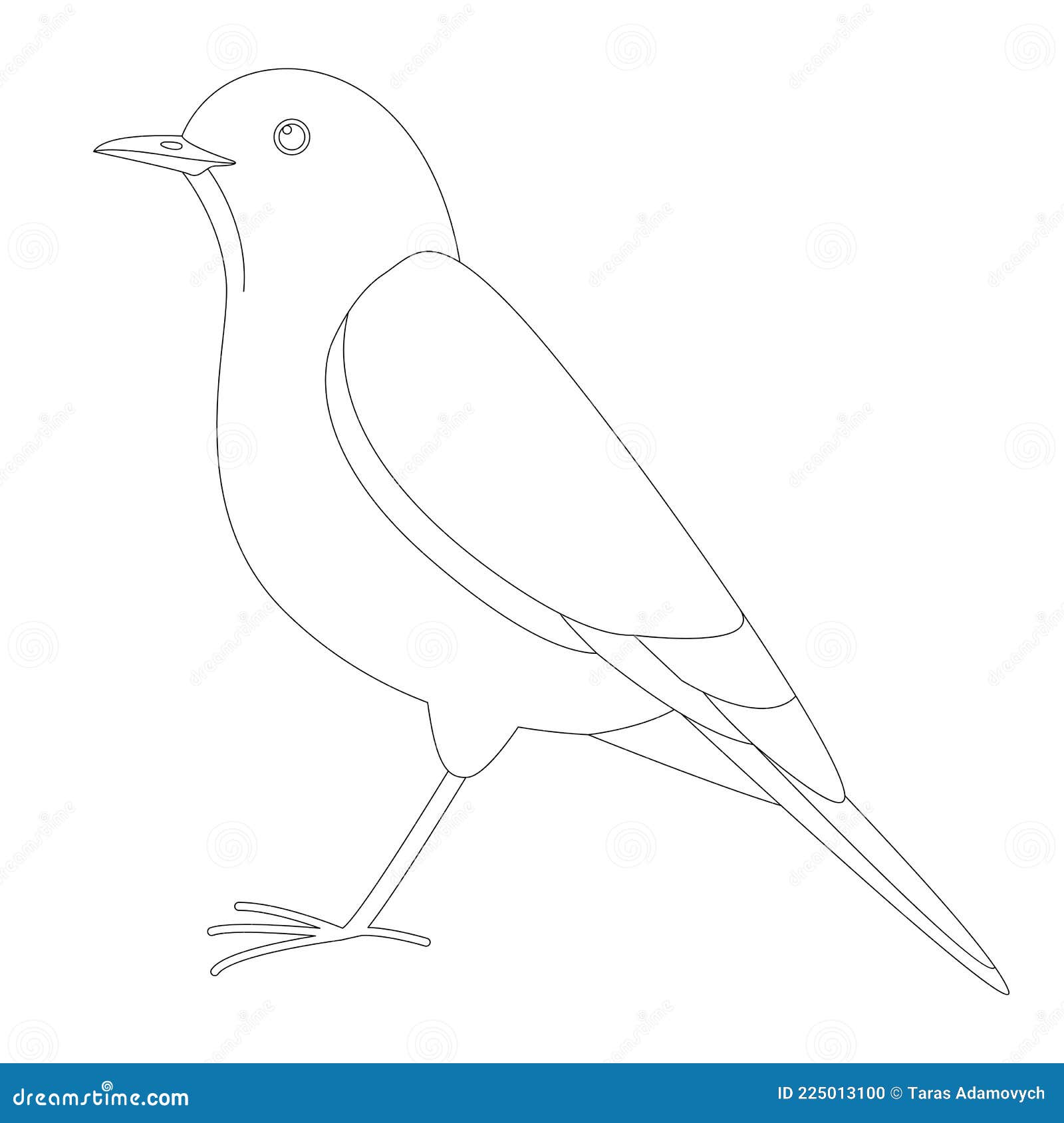 Flycatcher Bird, Vector Illustration, Lining Draw Stock Vector ...