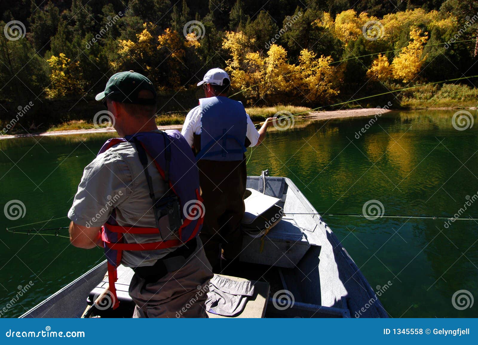 Flyfishing stock photo. Image of fishing, relaxed, flyfisher - 1345558