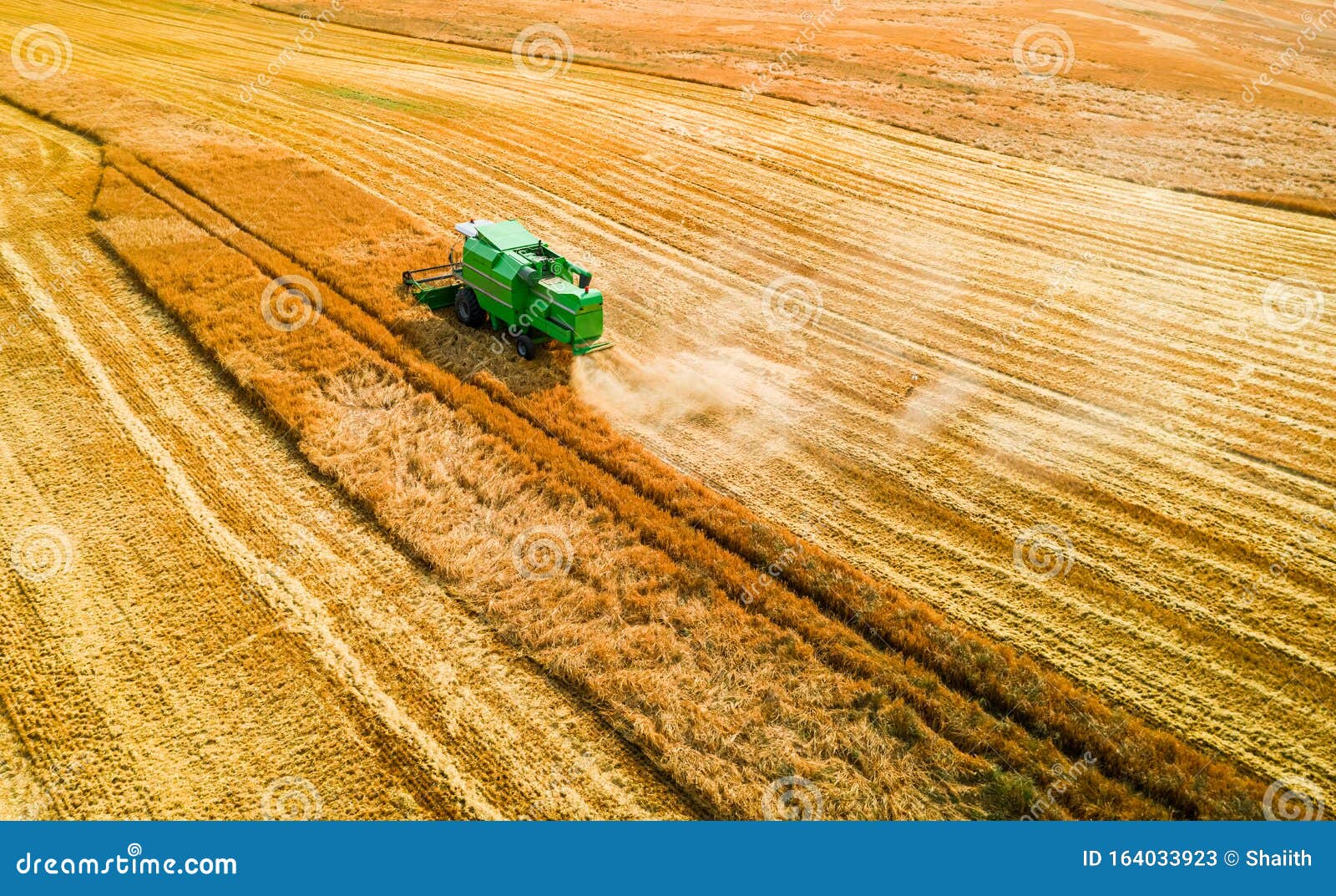 Flying Above Green Combine Working on Field in Summer Stock Image ...