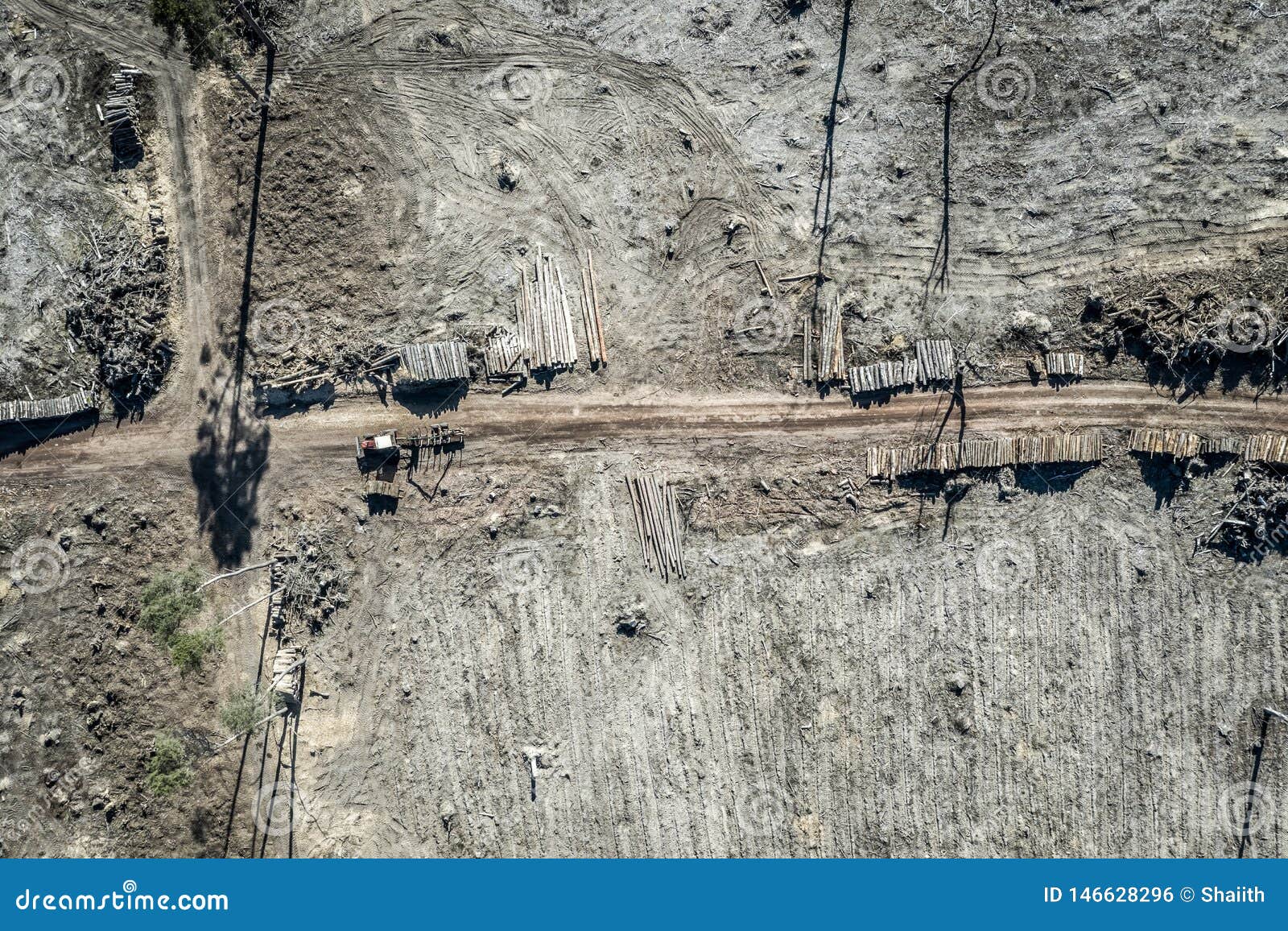 Flying Above Horrible Deforestation, Destroyed Forest for Harvesting ...